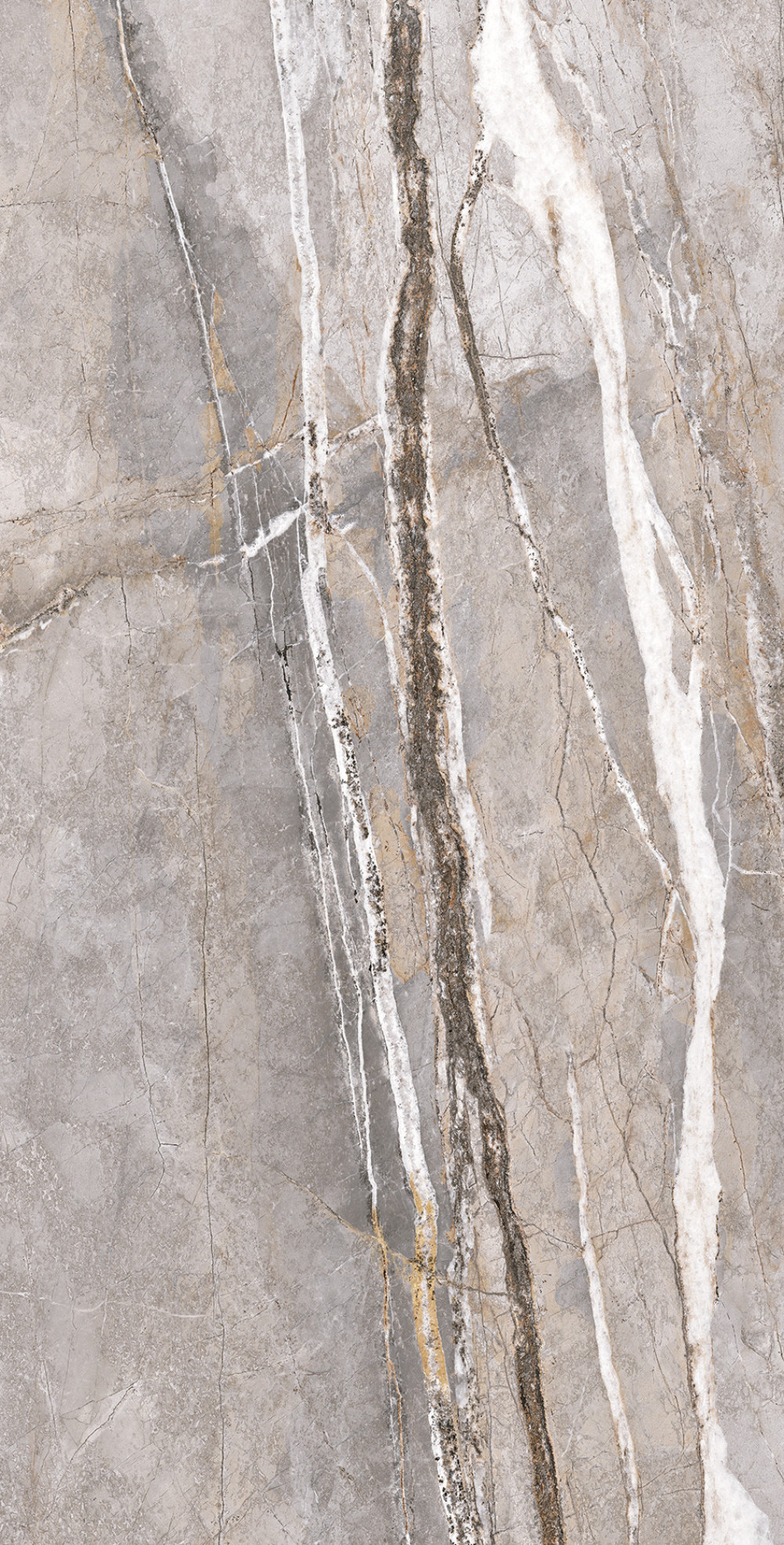 60x120 SILVER ROOT MAT DF REKTİFİYE - Ürünler | NG Kütahya Seramik